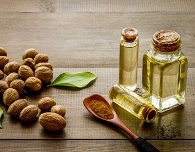 Nutmeg | CHRISLAM SPICE ESSENCE PVT LTD